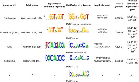 Motifs Predicted By Promzea Compared To Experimentally Defined Motifs