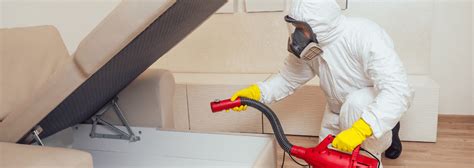 Get Rid Of Cockroaches Eco Home Services