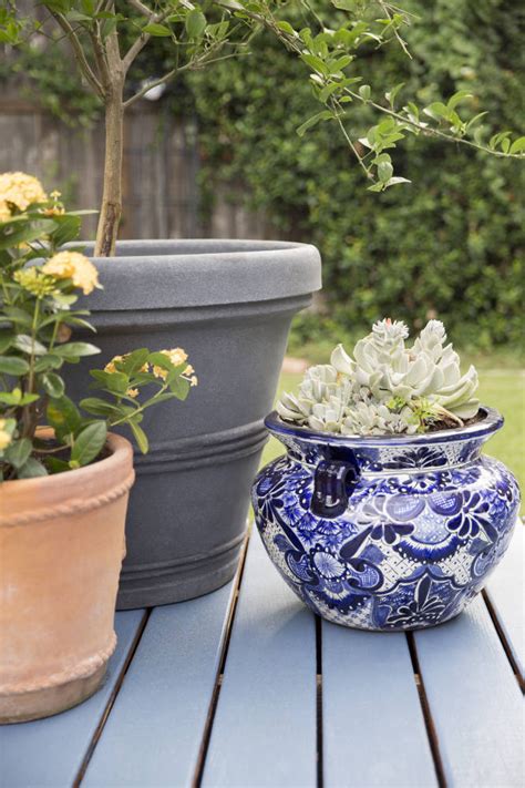 Get To Know Bevin Dubrowski