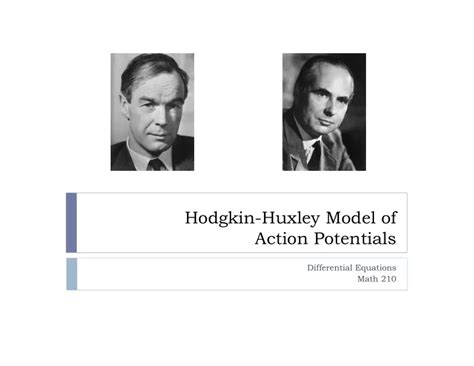 Ppt Hodgkin Huxley Model Of Action Potentials Differential Equations Powerpoint Presentation