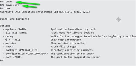 Asp Net Core Dnvm Command Inside Package Console Manager Doesn T