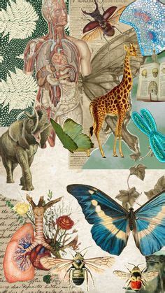 Collage De Biologia