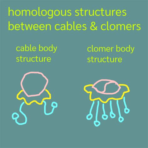 Cable Nap Wiki Fandom