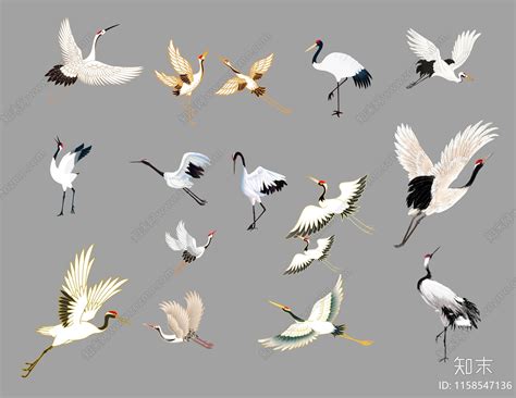 Psd免抠手绘十五款仙鹤素材下载【id1158547136】undefined