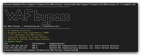 Nothing Comes Up · Issue 6 · Vincentcoxbypass Firewalls By Dns