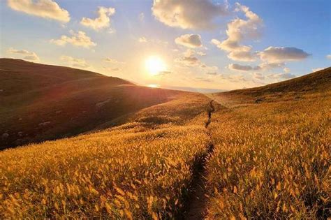 10월에 또 연휴라고 1박 2일로 떠나기 좋은 국내 섬 여행 추천 인포매틱스뷰 세상모든여행정보