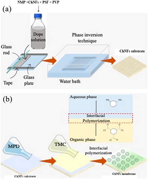 Substrate Layer Development A And Pa Rejection Layer Development