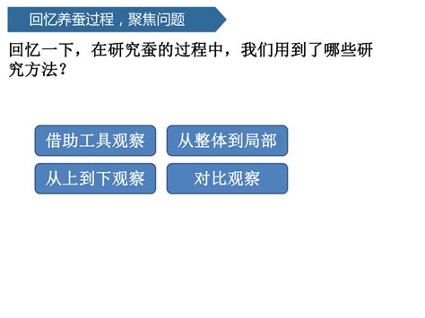 Ppt
