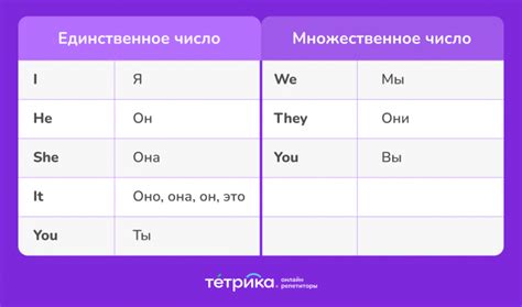 Притяжательные местоимения в английском языке — Блог Тетрики