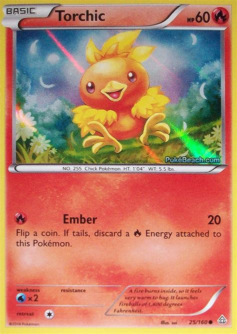 Pokemon Tcg Treasure Tin Treecko Torchic Mudkip From 160 Card Primal Clash Pokebeach