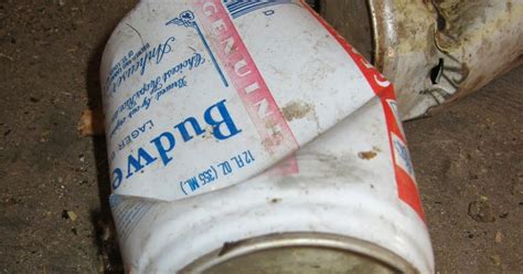 Esoterizona Pull Tab Beer Can