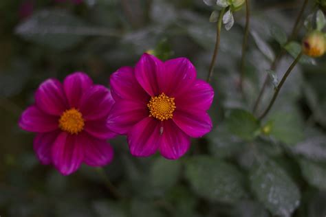 Parc Kellermann Part 2 Five A Day