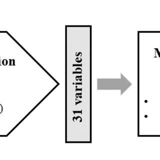 Automatic System For Predicting Smartphone Dependency Download Scientific Diagram