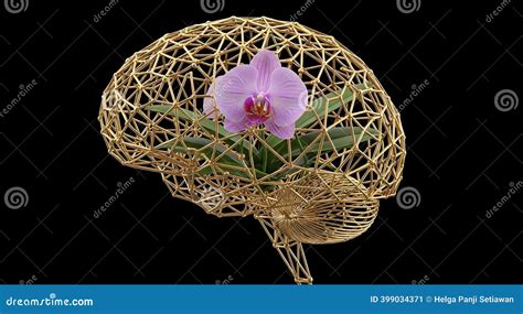 Orchid Growth Life Cycle In A Pot On A White Background Vector
