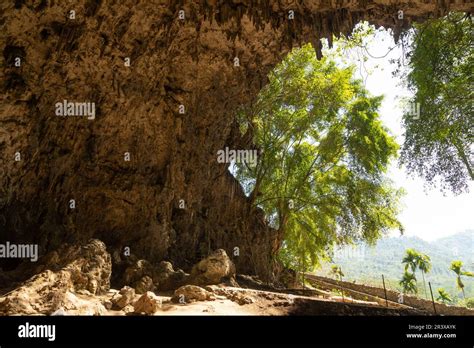 Hobbit Cave Or Liang Bua Cave Or Rats Cave On The Island Of Flores
