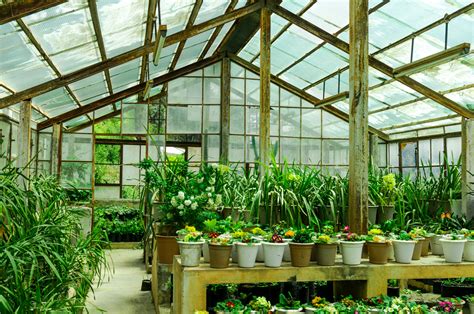 The Reasons Why You Should Own greenhouses | The News God