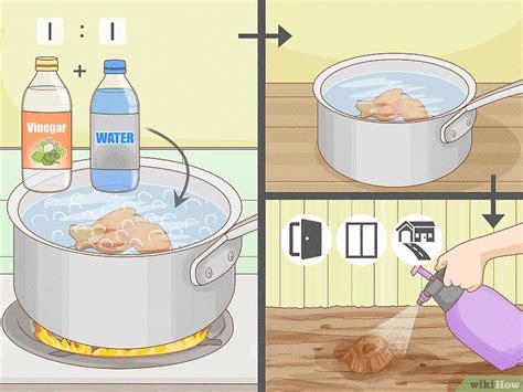How To Kill Ants Outside 11 Effective Methods