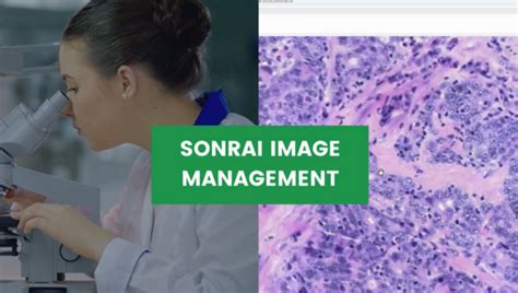 Sonrai Video Overview Sonrai Analytics