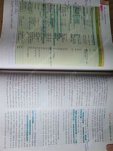 성인간호학 현문사 택포 25 팝니다 학습교육 중고나라