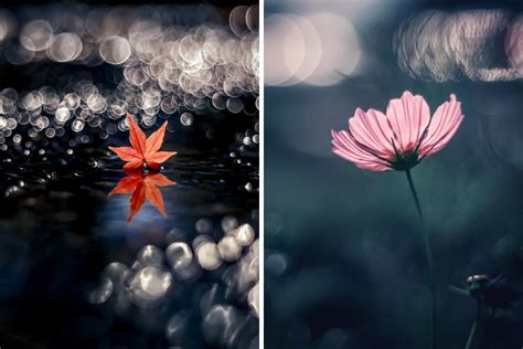 this japanese photographer captures mind blowing macro photos of