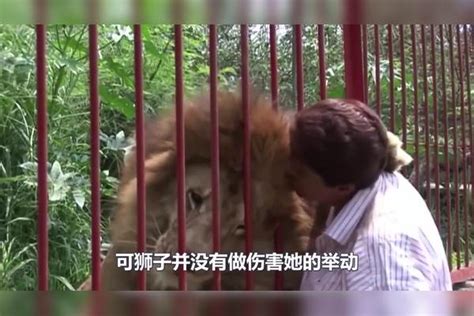 女子疯狂拍打狮笼，不料狮子突然站立，一爪子按住女子的脖颈