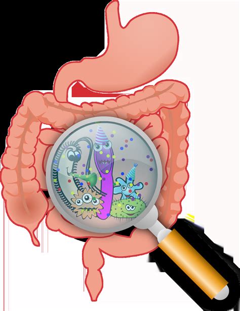 Gastrointestinal Infections Can Be Caused By A Variety Of Different