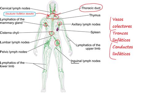Pin En Ciencias Básicas