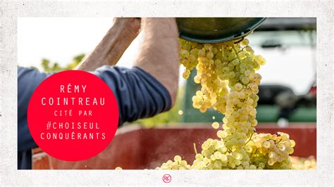 Accueil New Rémy Cointreau