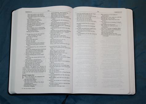 Nasb Skinii Bible From Zondervan Review