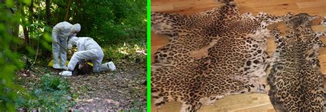 Fondelco Group Forensic Science Laboratories