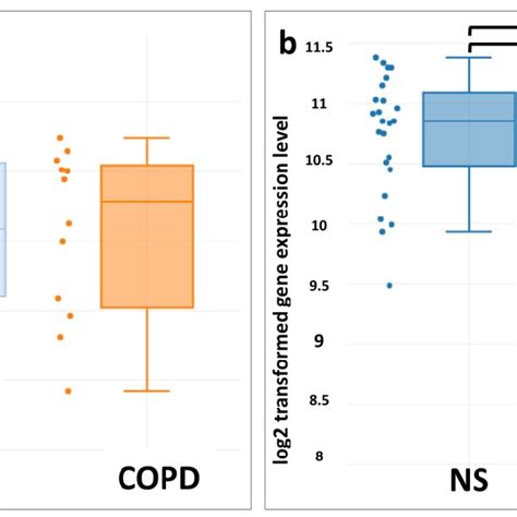 Patterns Of Expression Of The Abca1 Gene In Alveolar Macrophages