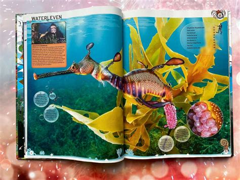 Guinness World Records 2024 Weetjesboek Stoerleesvoer