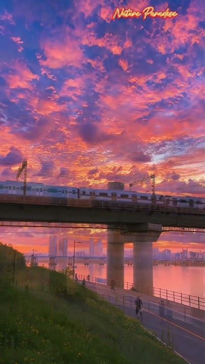 Asthetic Train Passing Nature Paradise Ytshorts Viral Aa2 Bgm