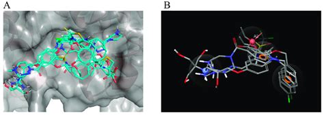 Docking Results Of Eight Positive Hits And The Analysis Of