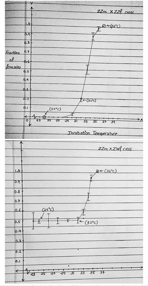 Solved 1using The Template Construct An Appropriately Labeled Graph