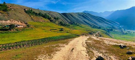 ماسی گر On Reels Facebook