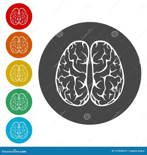 Icono Del Cerebro Silueta De Brain Logo Ilustración del Vector Ilustración de concepto