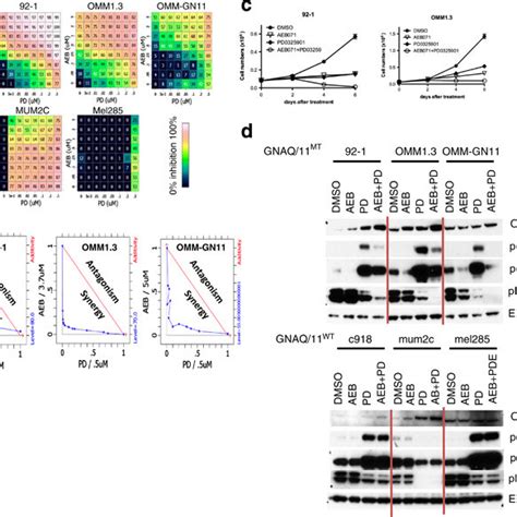 Pdf Combined Pkc And Mek Inhibition In Uveal Melanoma With Gnaq And