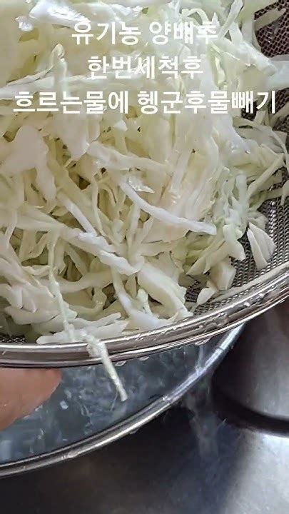 천연계의 숨은 보석 양배추 천연치료제 양배추생채 무침 풀영상은 영상아래 세모클릭 참고 구독 좋아요는 사랑입니다 💕 감사합니다 🙏😘 Youtube