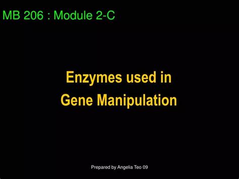 Ppt Mb 206 Module 2 C Powerpoint Presentation Free Download Id