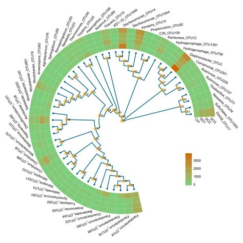 一步一步教你使用ggtree 腾讯云开发者社区 腾讯云