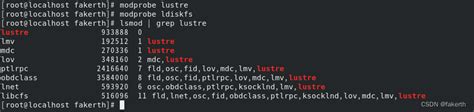 Redhat8 3上部署Lustre文件系统 lustre服务启动 CSDN博客