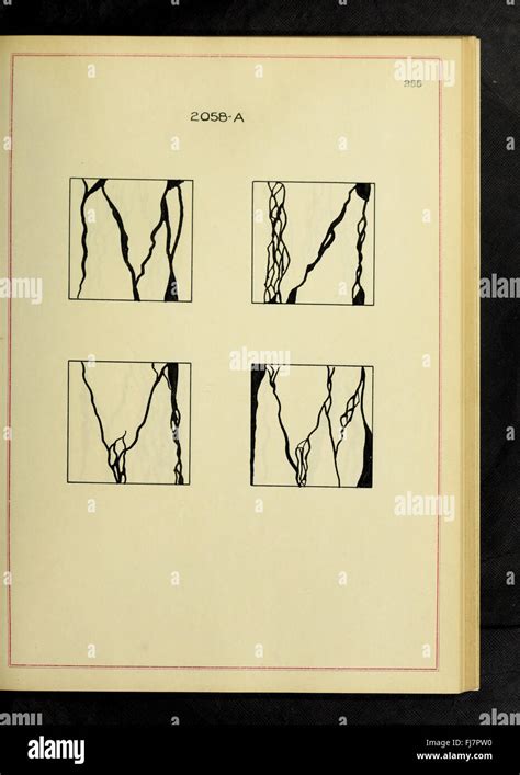 A Scientific Exploration Of Concrete S Behavior Under Bi Axial Loading