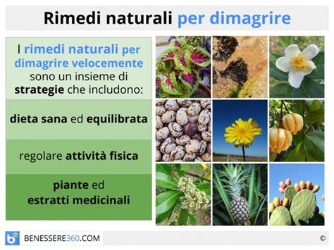 Rimedi Naturali Per Dimagrire Prodotti Efficaci Per Perdere Peso
