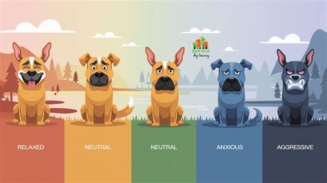 5 Reasons Your Dog is Aggressive at the Dog Park (and What to Do About ...