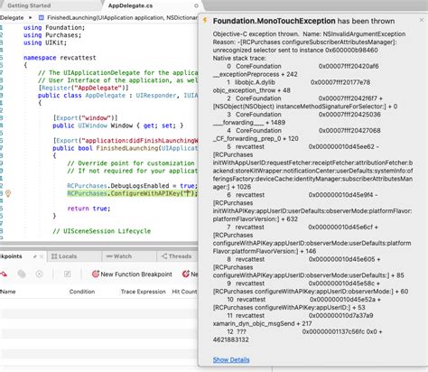 Crash Unrecognized Selector Sent To Instance Issue 13