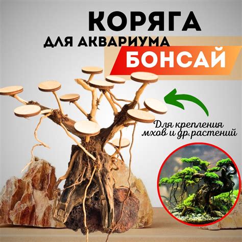 Коряга для аквариума натуральная/Коряга натуральная Бонсай/Декорация ...