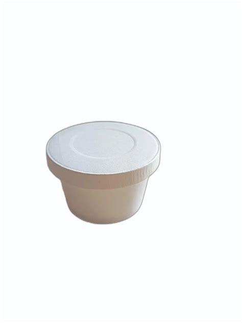 125ml Plastic Food Containers Capacity 500 Ml At ₹ 270piece In Gurugram
