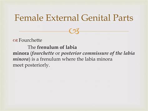 Parts Of The Female Reprodutive System Pptx