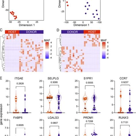 Figure S4 Single Cell Rna Expression A Representative T Sne Plot Of Download Scientific